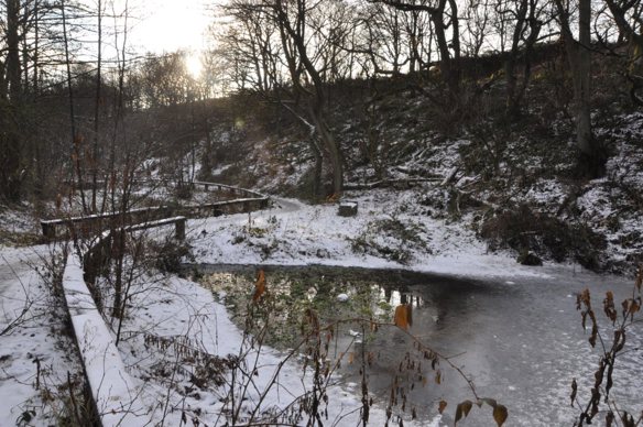 Outwood Trail and Park - Woodland Trust