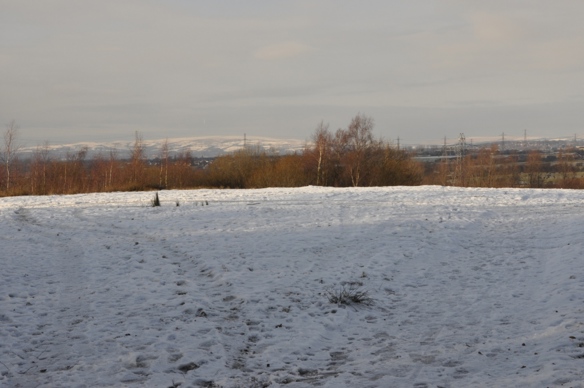 Outwood Trail and Park - Woodland Trust
