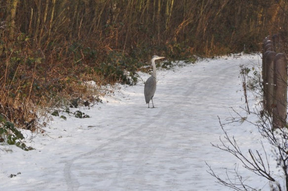 Outwood Trail and Park - Woodland Trust