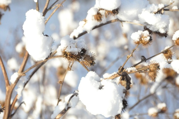 Outwood Trail and Park - Woodland Trust