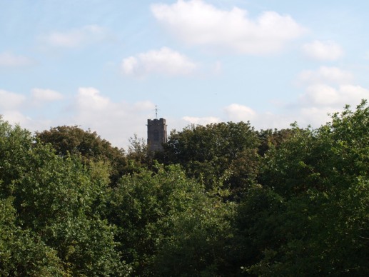 Prestwich Clough - Woodland Trust
