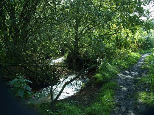 Prestwich Clough - Woodland Trust