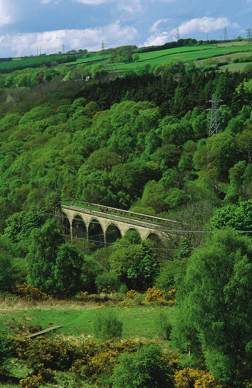 Derwent Walk Country Park - Woodland Trust