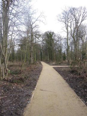 Little Wood - Woodland Trust - Woodland Trust