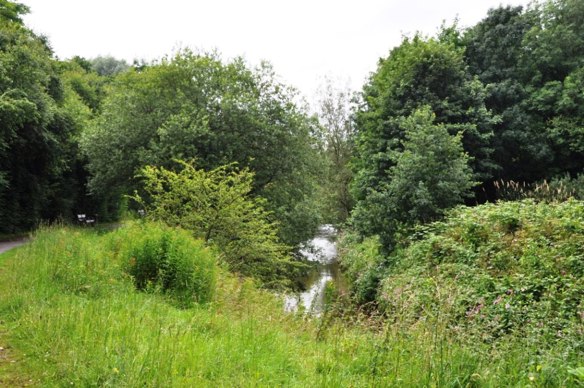 Medlock Valley Sites - Woodland Trust