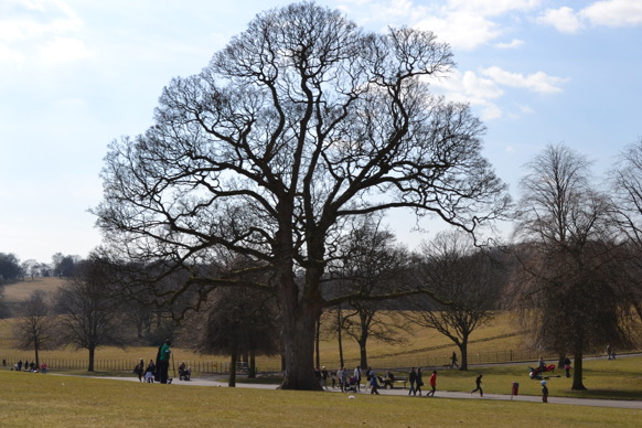 Heaton Park - Woodland Trust
