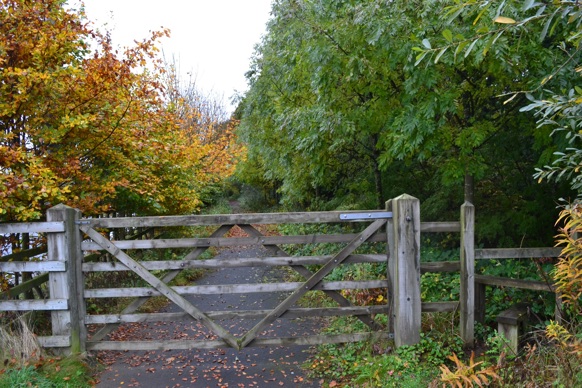 Woolsington Hall - Woodland Trust
