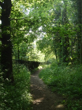 Colwick Woods - Woodland Trust