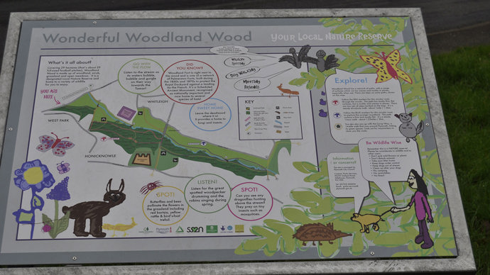 Woodland Wood - Woodland Trust
