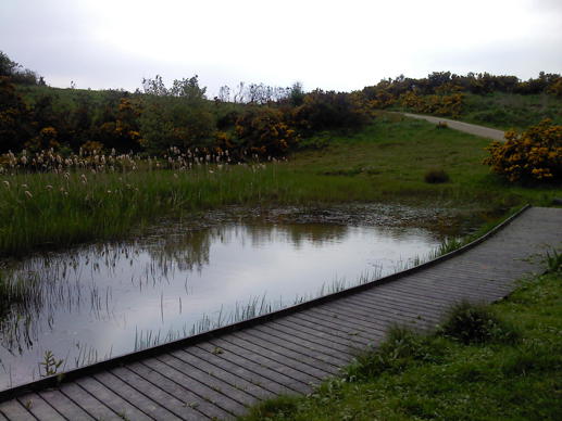 Tinsley Park Golf Course - Woodland Trust