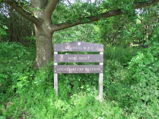 Hobs Moat - Woodland Trust