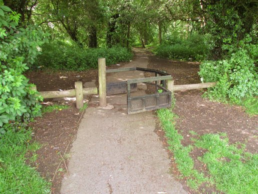 Hobs Moat - Woodland Trust