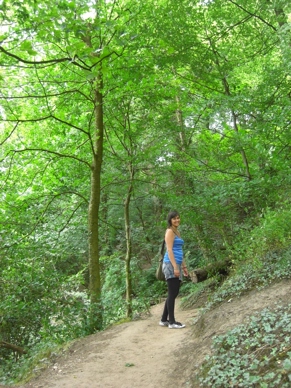 Little Wood - Woodland Trust