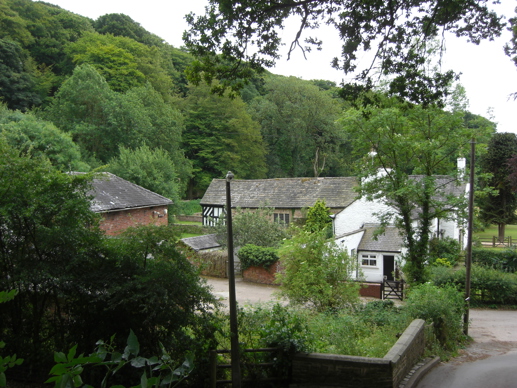 Kirk Wood - Woodland Trust