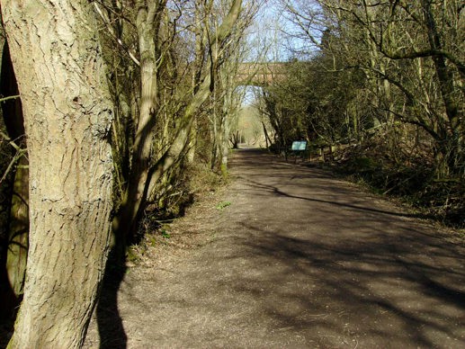 Thorpe Wood Local Nature Reserve - Woodland Trust