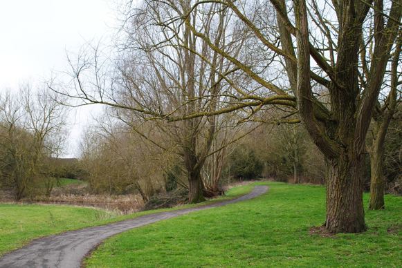 Elmore Park - Woodland Trust