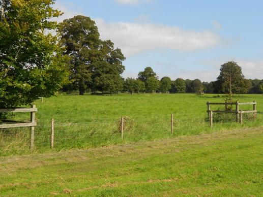 Stanton Great Wood - Woodland Trust