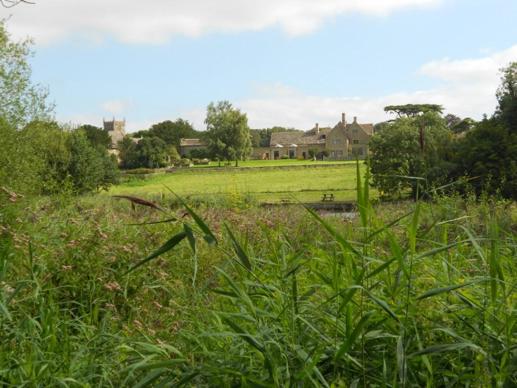 Stanton Great Wood - Woodland Trust