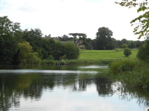 Stanton Great Wood - Woodland Trust