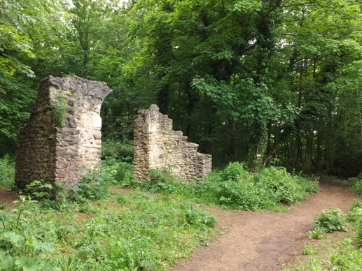 Stanton Great Wood - Woodland Trust