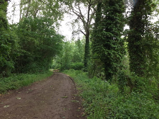 Stanton Great Wood - Woodland Trust
