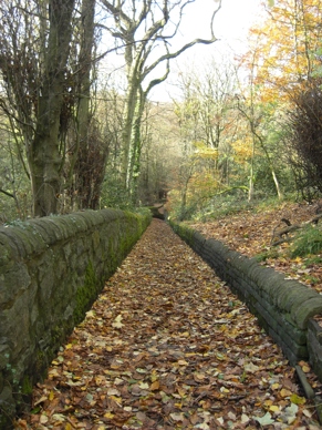 Apethorn Wood - Woodland Trust