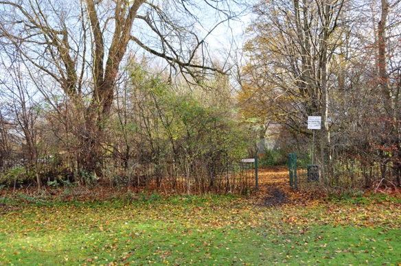 King George V Pool - Woodland Trust