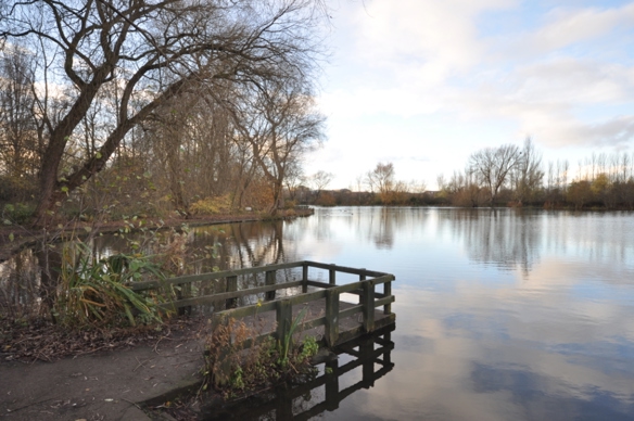 King George V Pool - Woodland Trust