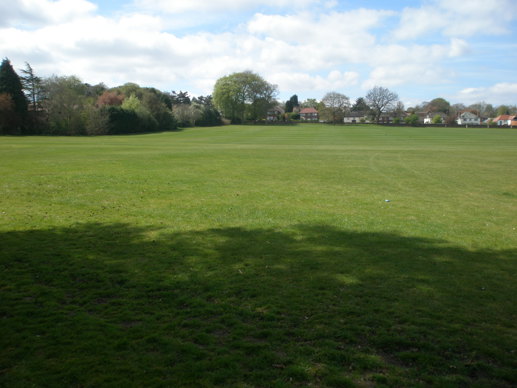 Broomfields Playing Field - Woodland Trust