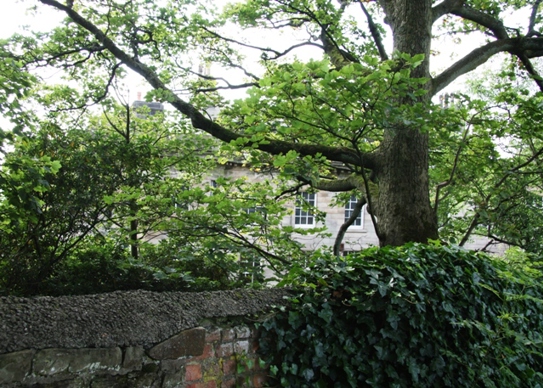 Haigh Hall Country Park - Woodland Trust
