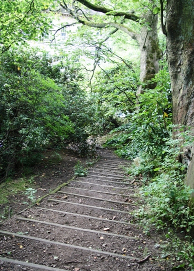 Haigh Hall Country Park - Woodland Trust