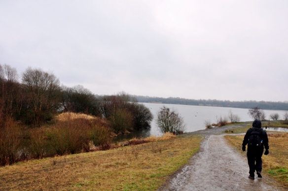 Pennington Flash Country Park - Woodland Trust