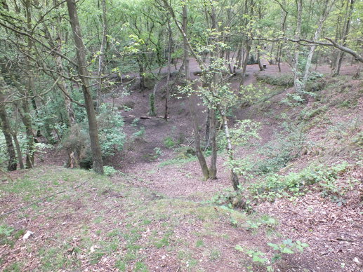 Mousehold Heath - Woodland Trust