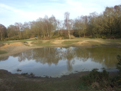Mousehold Heath - Woodland Trust