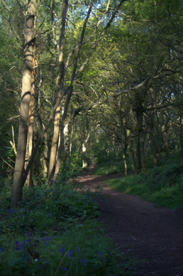 Shotover Country Park - Woodland Trust
