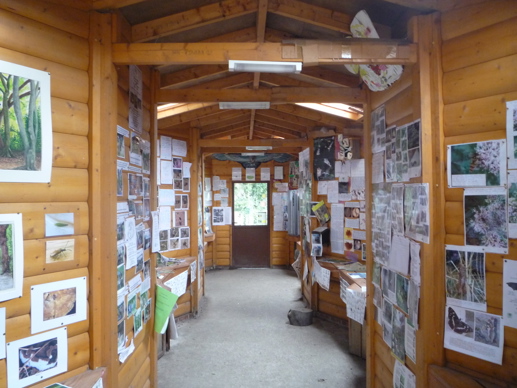 Highgate Wood - Woodland Trust