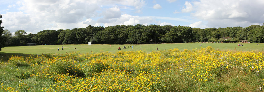 Highgate Wood - Woodland Trust