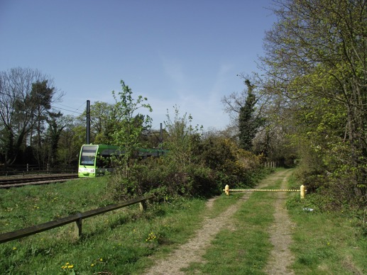 Addington Hill - Woodland Trust