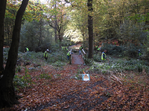 Coldfall Wood - Woodland Trust