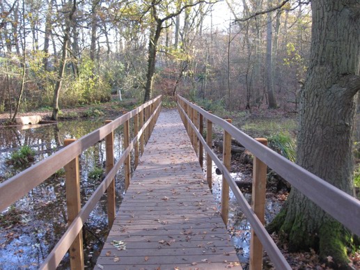 Stanmore Common - Woodland Trust