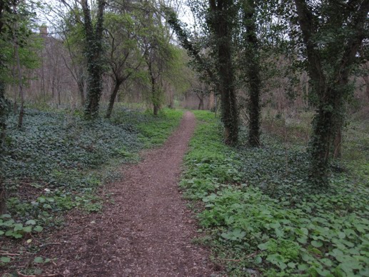 Petersham Common - Woodland Trust