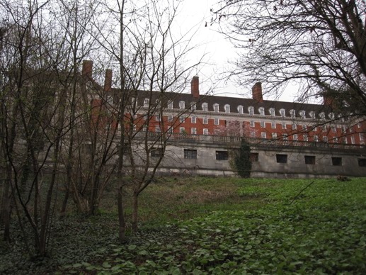 Petersham Common - Woodland Trust