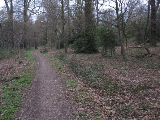 Petersham Common - Woodland Trust