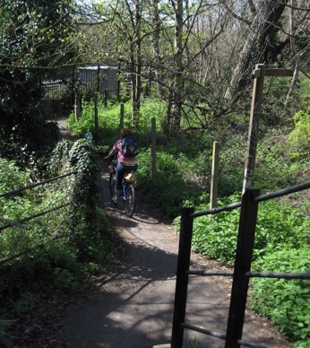 Barnes Common - Woodland Trust