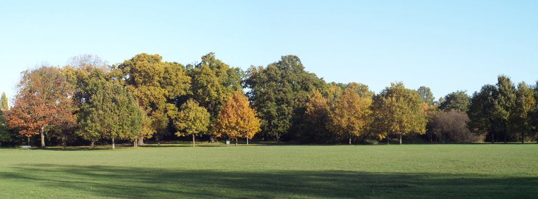 Tooting Common - Woodland Trust