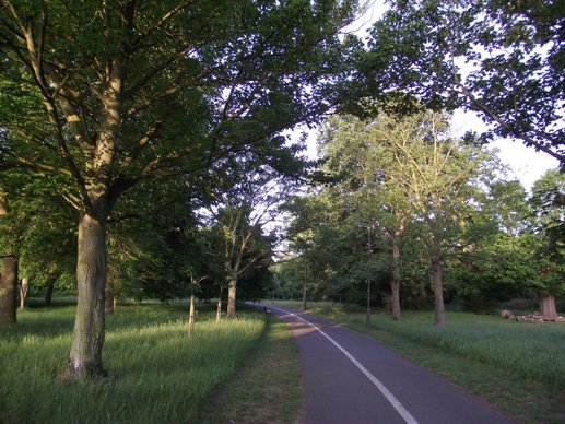 Tooting Common - Woodland Trust