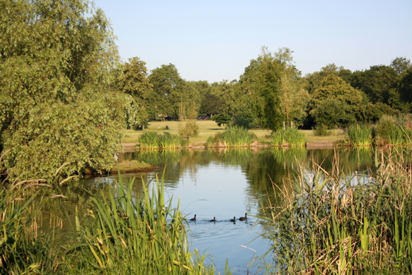 Clapham Common Woodland - Woodland Trust