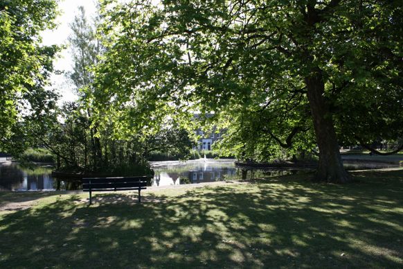 Wandsworth Common - Woodland Trust