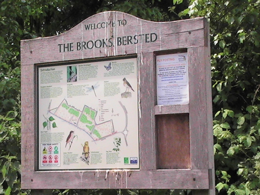 The Bersted Brooks - Woodland Trust