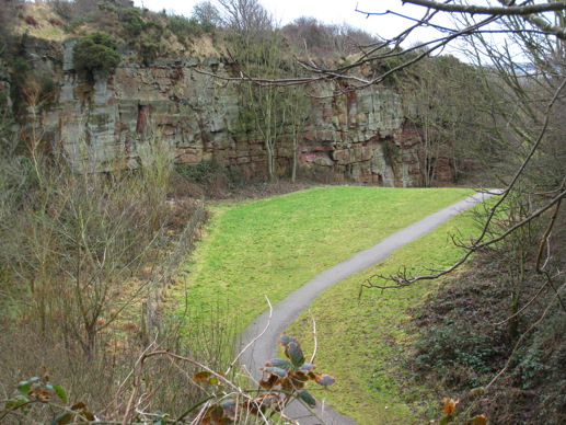 Hawcoat Quarry - Woodland Trust